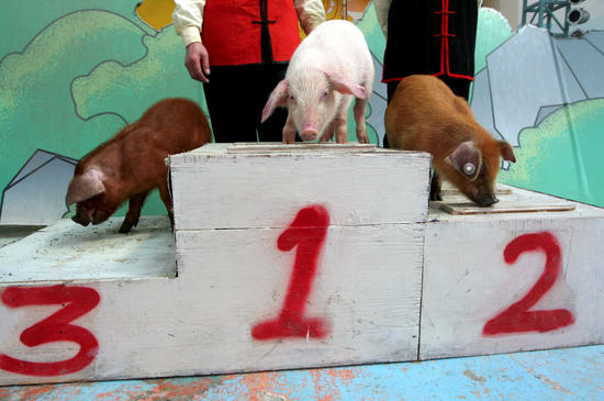 Champion Piglets Recognized Their Athletic Achievements Editorial Stock ...
