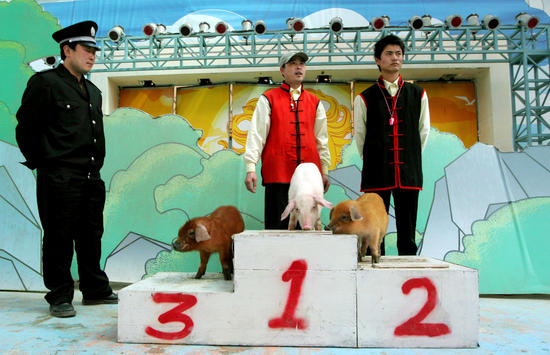 Champion Piglets Recognized Their Athletic Achievements Editorial Stock ...
