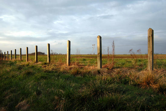 Fence Posts Field Editorial Stock Photo - Stock Image | Shutterstock