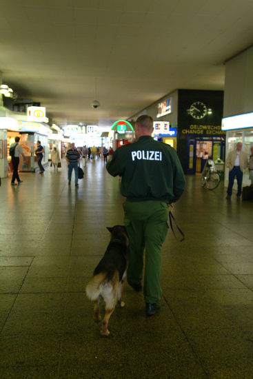 Deu Germany Nrw Police Dogs K9 Editorial Stock Photo - Stock Image ...