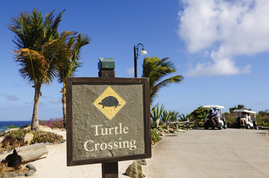 Turtle Crossing Sign Raffles Resort Canouan Editorial Stock Photo ...
