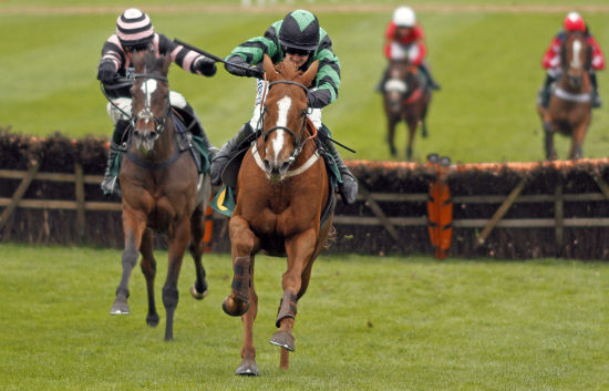 Gin Tonic Jack Quinlan Wins Fakenham Editorial Stock Photo - Stock ...