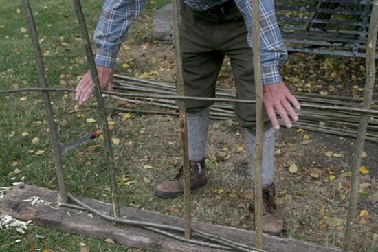 Bending Hazel Make Sheep Hurdle Warwickshire Editorial Stock Photo ...