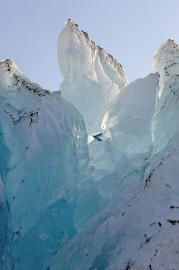 Engabreen Svartisen Glacier Meloy Nordland Norway Editorial Stock Photo ...