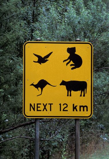 Wildlife Warning Road Sign Victoria Australia Editorial Stock Photo ...