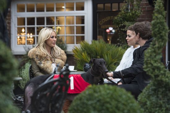 Jake Hall His Greyhound Toothill Wizard Editorial Stock Photo - Stock ...