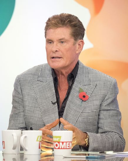 David Hasselhoff Editorial Stock Photo - Stock Image | Shutterstock