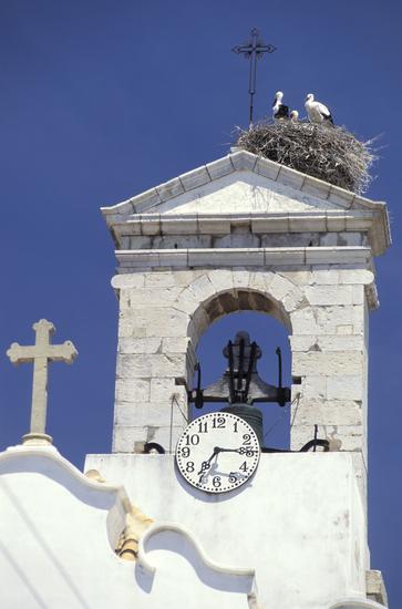 Storks Nesting On Church Town Faro Editorial Stock Photo - Stock Image ...