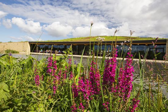 New Gloucester Service Station On M5 Editorial Stock Photo - Stock ...