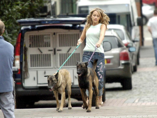Samia Ghadie Walking These Dogs When Editorial Stock Photo - Stock ...