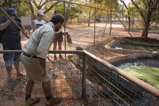 Keeper David Tapper Hand Feeds Saltwater Editorial Stock Photo - Stock ...