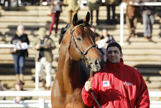 Recharge Parades Tba 2015 Stallion Parade Editorial Stock Photo - Stock ...