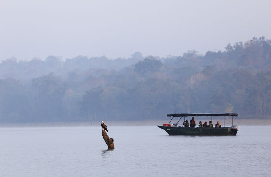 Osprey Pandion Haliaetus Tourists Safari Boat Editorial Stock Photo ...