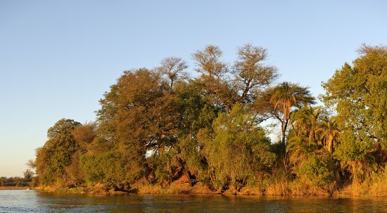 Okawango Near Mahango Safari Lodge Namibia Editorial Stock Photo ...