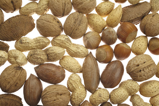 Various Nuts Their Shells Brazil Nuts Editorial Stock Photo - Stock ...