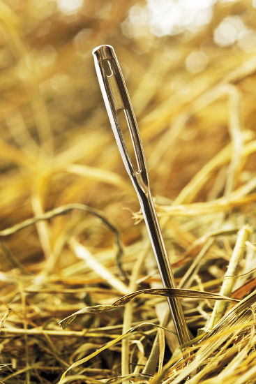 Needle Stack Hay Editorial Stock Photo - Stock Image | Shutterstock