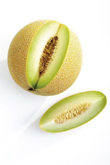Galia Melon Cucumis Melo Var Reticulatus Editorial Stock Photo - Stock ...