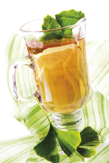 Gingko Tea Gingko Leaves Ginkgo Biloba Editorial Stock Photo - Stock ...