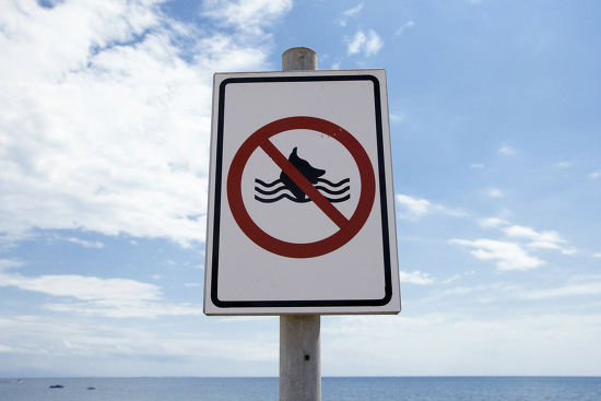 Swimming Prohibited Dogs Sign Croatian Beach Editorial Stock Photo ...