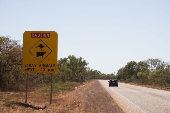 Animal Road Caution Sign On Broome Editorial Stock Photo - Stock Image ...
