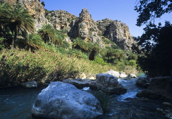 Valley Brook Moni Preveli Crete Greece Editorial Stock Photo - Stock ...