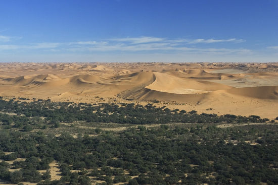 Fly Over Dunes Namib Desert River Editorial Stock Photo - Stock Image ...