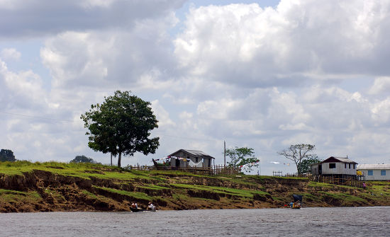 Simple Settler Houses Amazonas Region Brazil Editorial Stock Photo ...