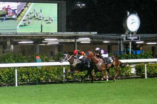 Happy Spirit Red Cap Under Sylvestre Editorial Stock Photo - Stock ...