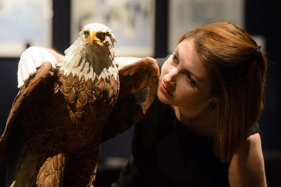 Kaiser Biscuit Model American Bald Eagle Editorial Stock Photo - Stock ...