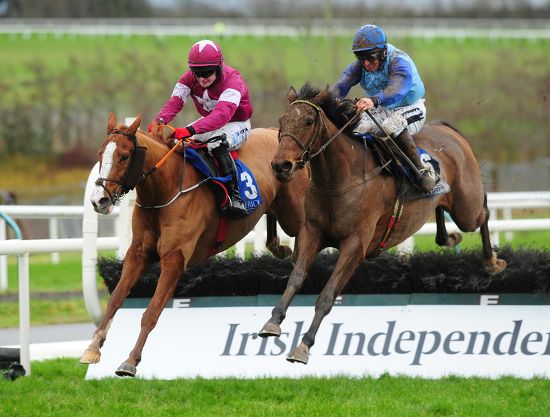 Limerick Positive Approach Philip Enright Right Editorial Stock Photo ...