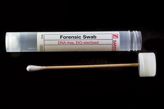 Forensic Cotton Swab Securing Dna Sterile Editorial Stock Photo - Stock ...