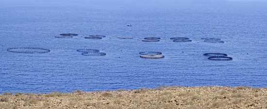 Coast Playa Del Gozo Fish Farms Editorial Stock Photo - Stock Image ...