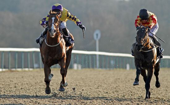 Kadrizzi Left Robert Winston Beats Kingsley Editorial Stock Photo ...
