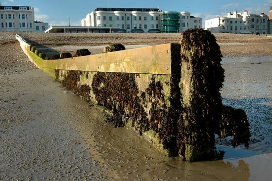 Sea Defence Groin On Beach Low Editorial Stock Photo - Stock Image ...