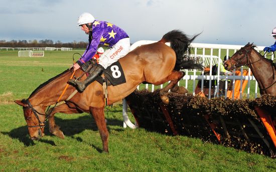 Thurles Oscar Lantern Davy Russell Survive Editorial Stock Photo ...