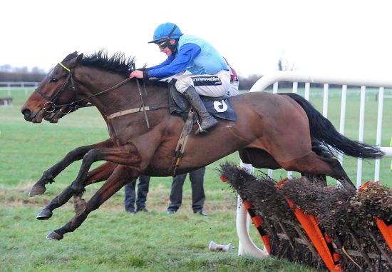Thurles Positive Approach Philip Enright Near Editorial Stock Photo ...