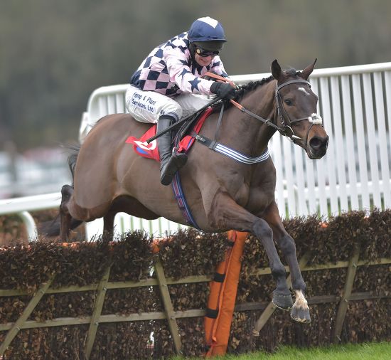 Akavit David Bass Takes Last Before Editorial Stock Photo - Stock Image ...