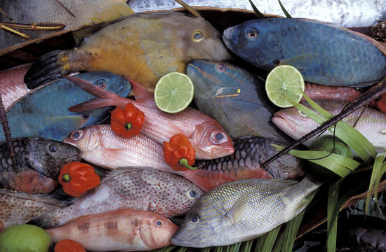 Local Variety Fish Guadeloupe French Caribbean Editorial Stock Photo ...