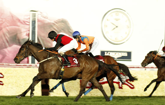 Baltic Knight Duran Fentiman Wins Irish Editorial Stock Photo - Stock ...