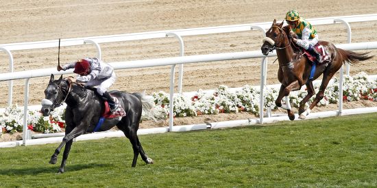 Abaath Julien Auge Wins Qatar International Editorial Stock Photo ...