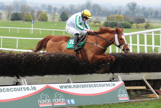 Navan Chestnut Charlie Robbie Colgan Jump Editorial Stock Photo - Stock ...