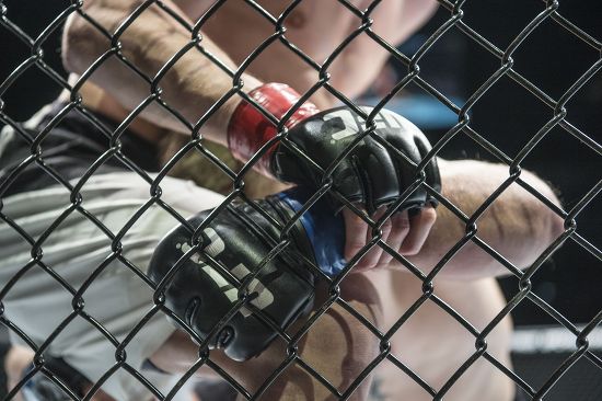 Ufc Fight Night Gloves Editorial Stock Photo - Stock Image | Shutterstock