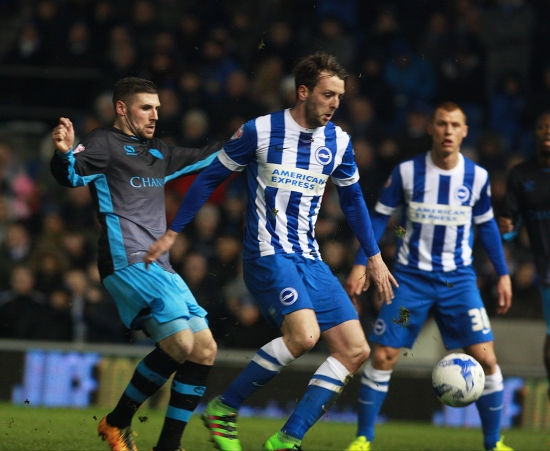 Brighton Central Midfielder Dale Stephens Shields Editorial Stock Photo ...