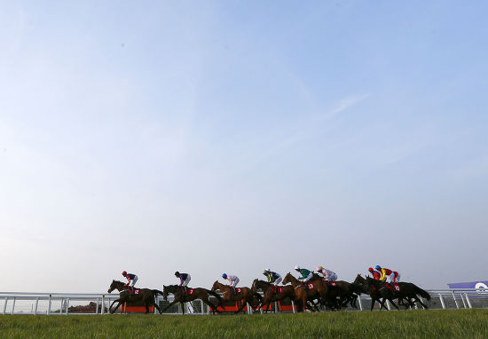 Nipper Gavin Sheehan Leading First Circuit Editorial Stock Photo ...