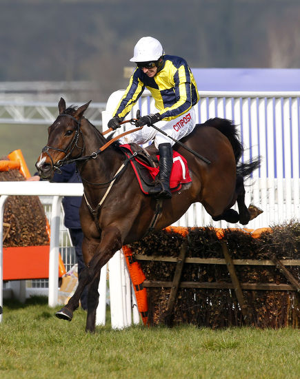 Barney Dawn Paddy Brennan Winning 30th Editorial Stock Photo - Stock ...