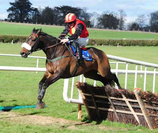 Clonmel Laid Back Luke Robbie Colgan Editorial Stock Photo - Stock ...