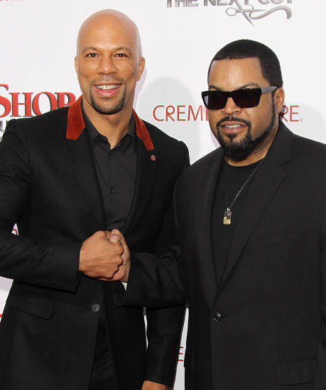 Common Ice Cube Editorial Stock Photo - Stock Image | Shutterstock