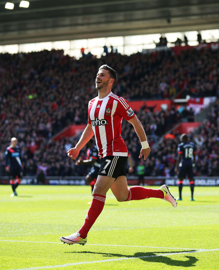 Shane Long Southampton Celebrates Scoring Opening Editorial Stock Photo ...