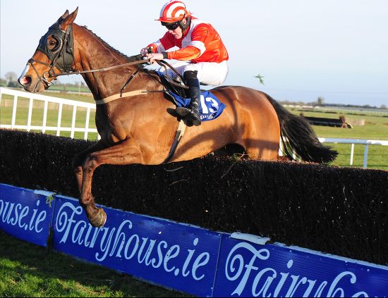 Fairyhouse Dinnies Vinnie Luke Dempsey Jump Editorial Stock Photo ...
