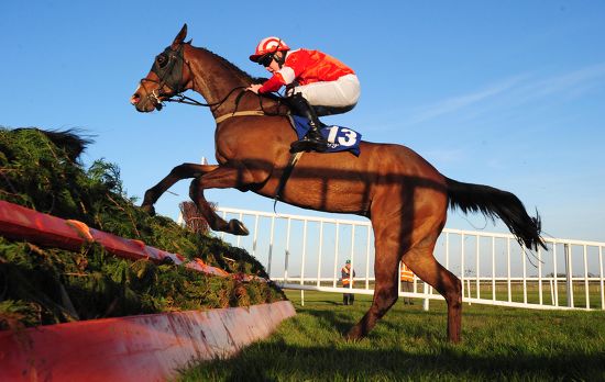 Fairyhouse Dinnies Vinnie Luke Dempsey Jump Editorial Stock Photo ...